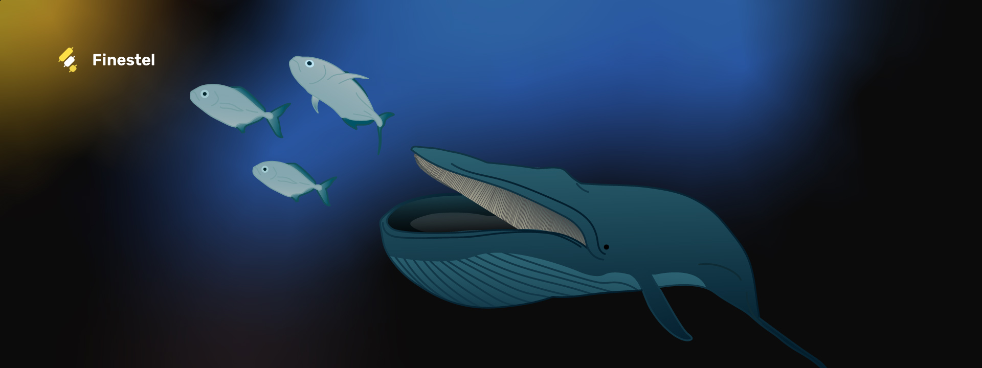 What is stop hunting, and how do the whales do it? |FINESTEL