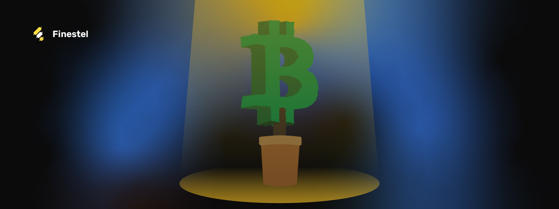 Hedging 101: Full-Proof Strategies for Managing Risk |FINESTEL